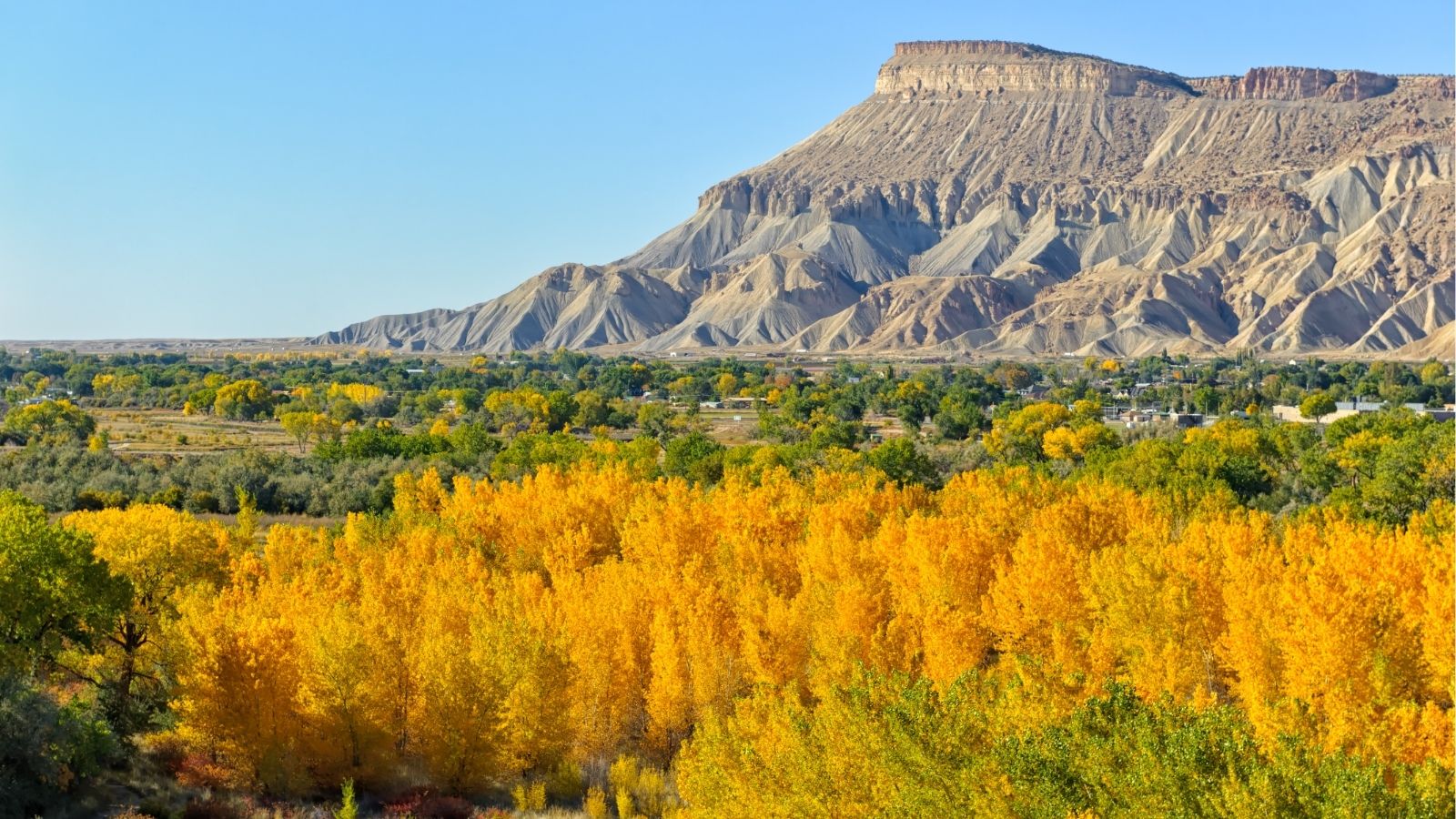 Grand Canyon Fall Tours: Stunning Views & Perfect Weather